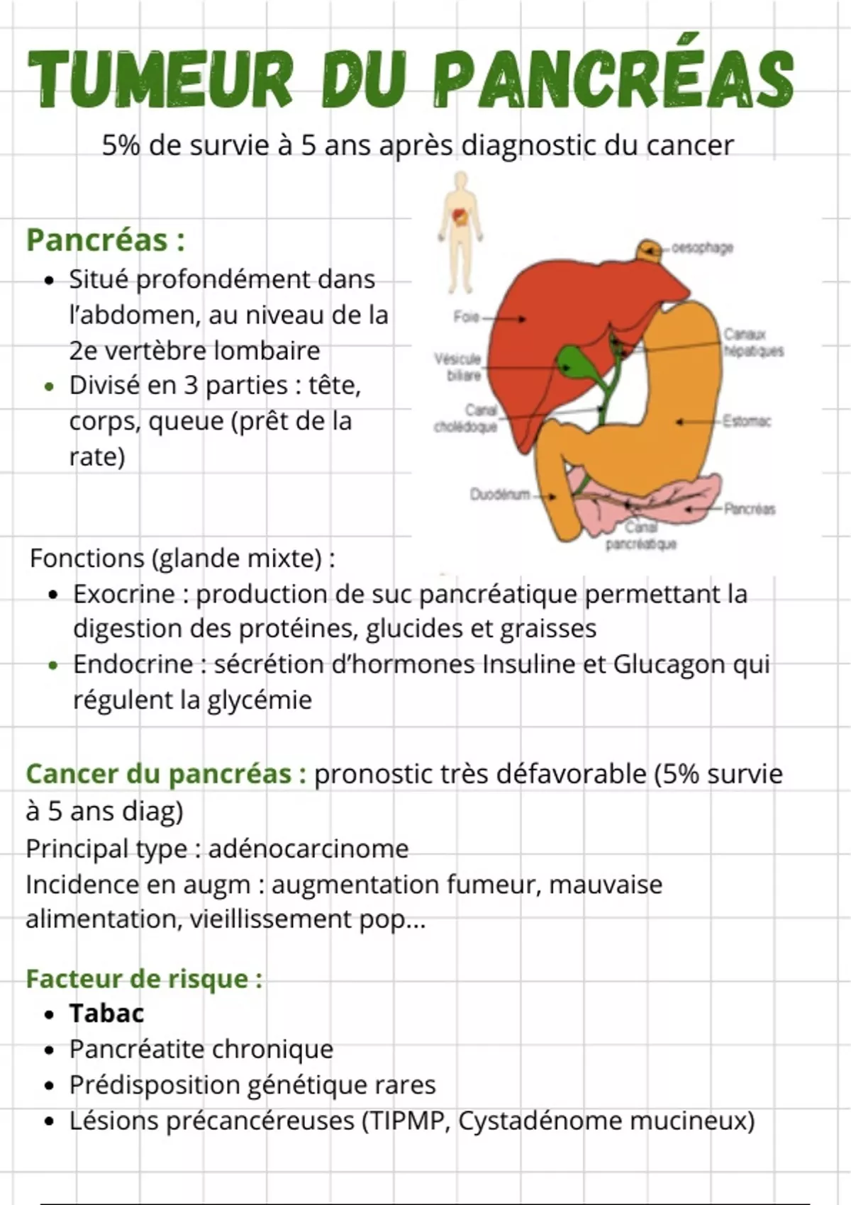 Fiche pathologie – Tumeur du pancréas : diagnostic, PEC et rôle IDE ...