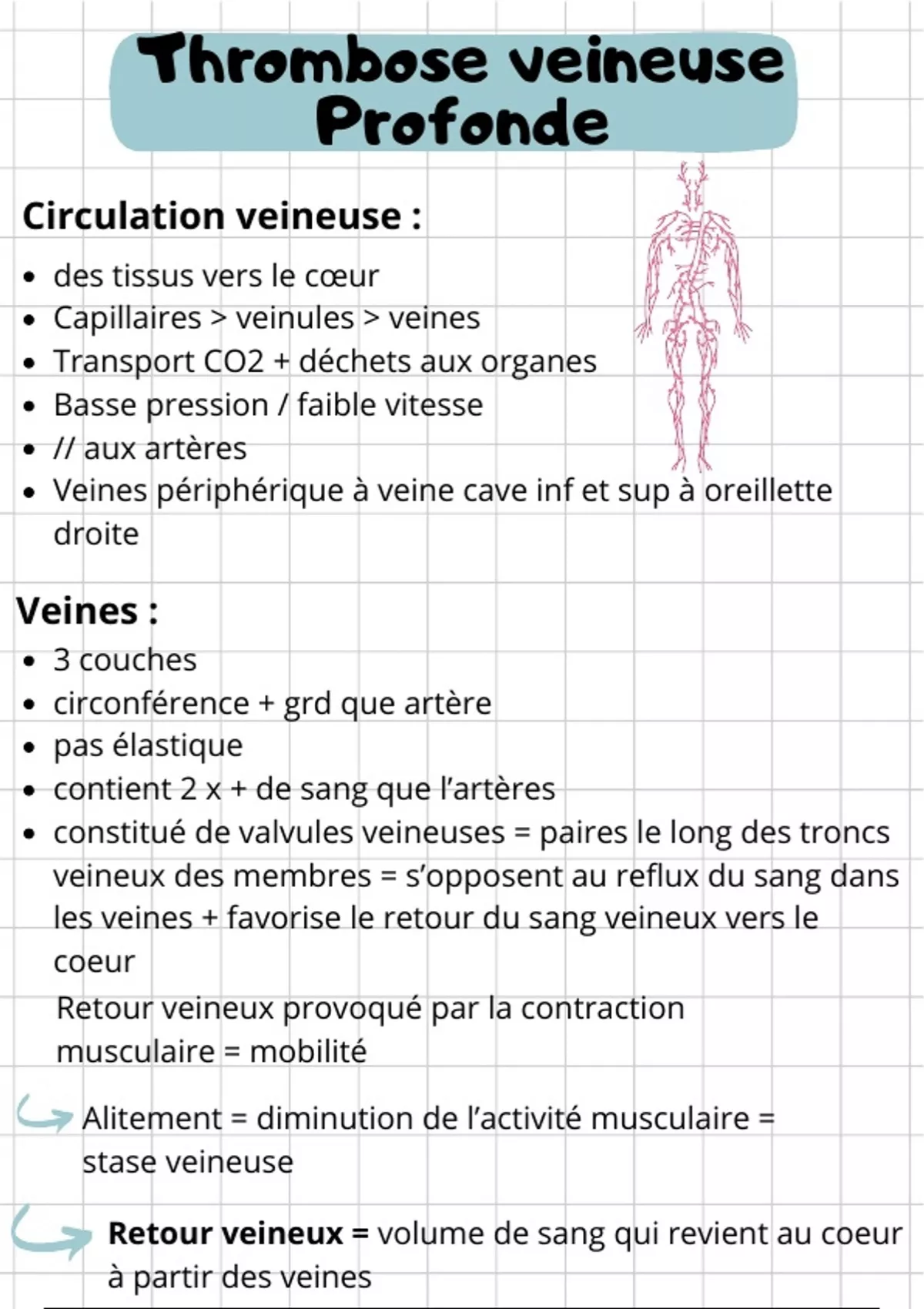 Fiche patho – Thrombose veineuse : prévention, surveillance et ...
