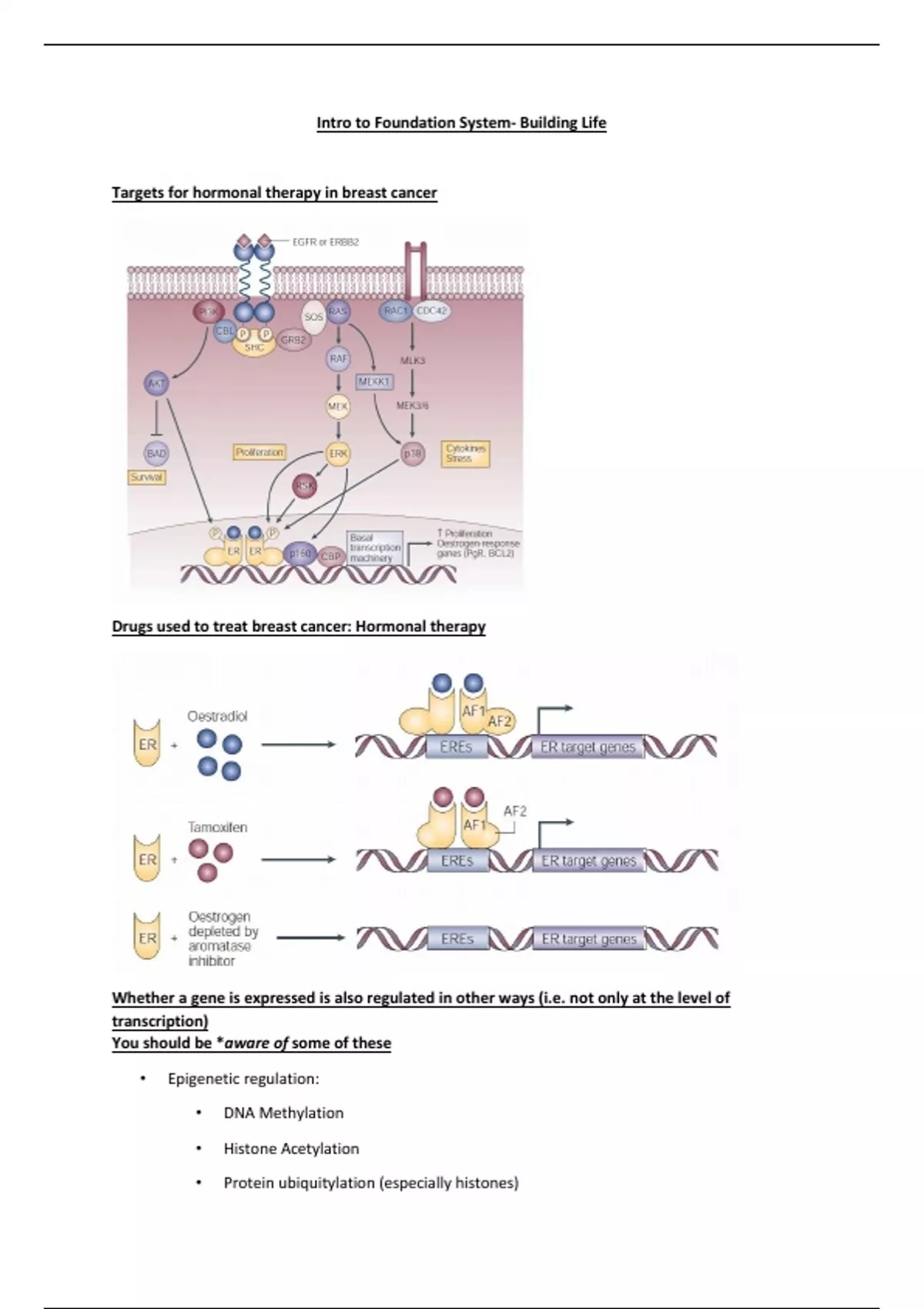 Summary Medicine; intro to foundation system of the human body Review ...