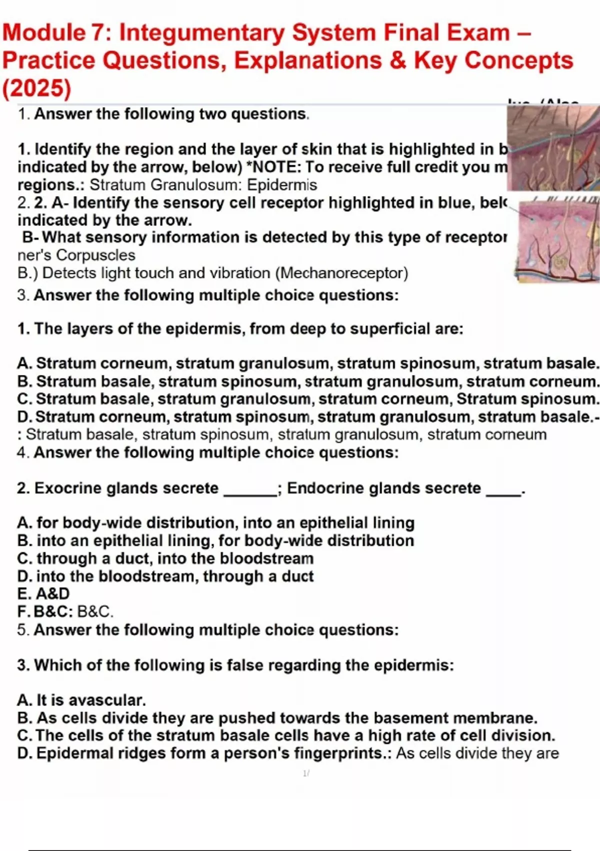 Module 7 Integumentary System Final Exam – Practice Questions ...