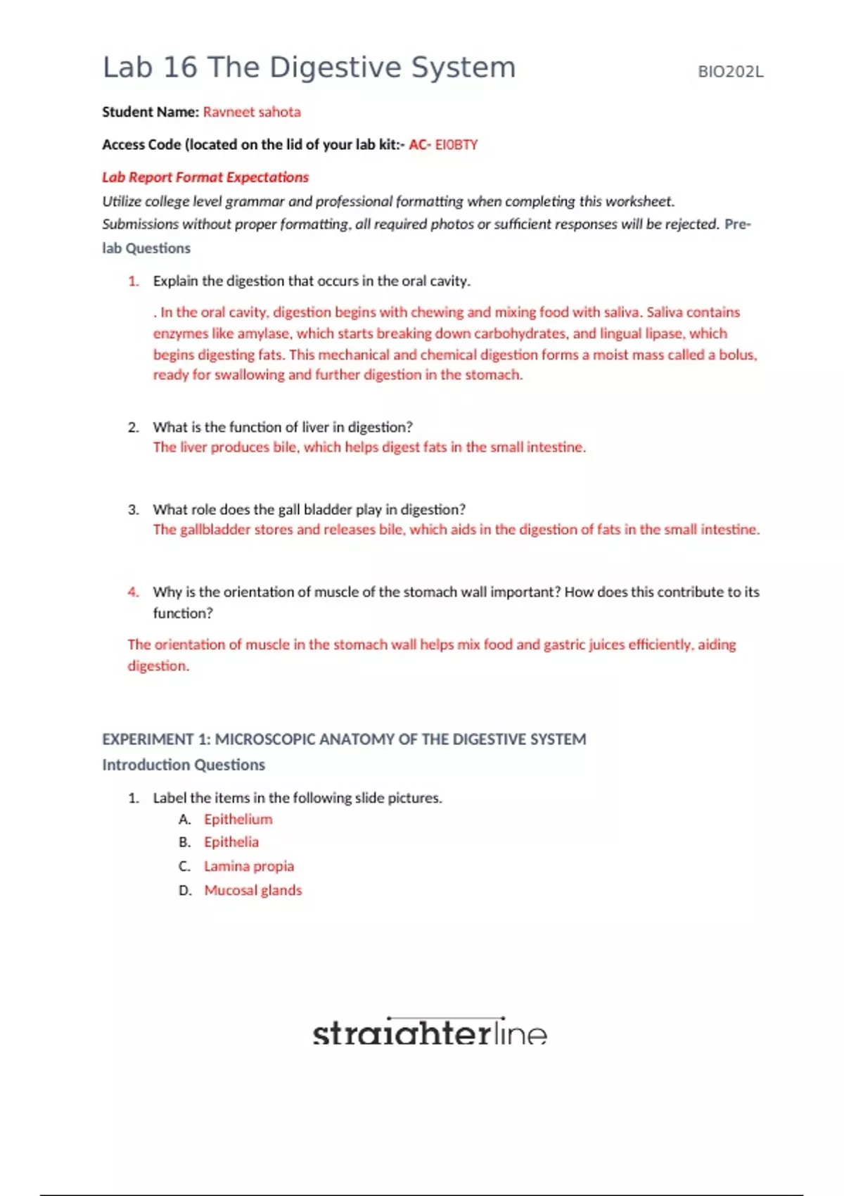 BIO202 Lab 16 The Digestive System Comprehensive Review Updated 2025/ ...