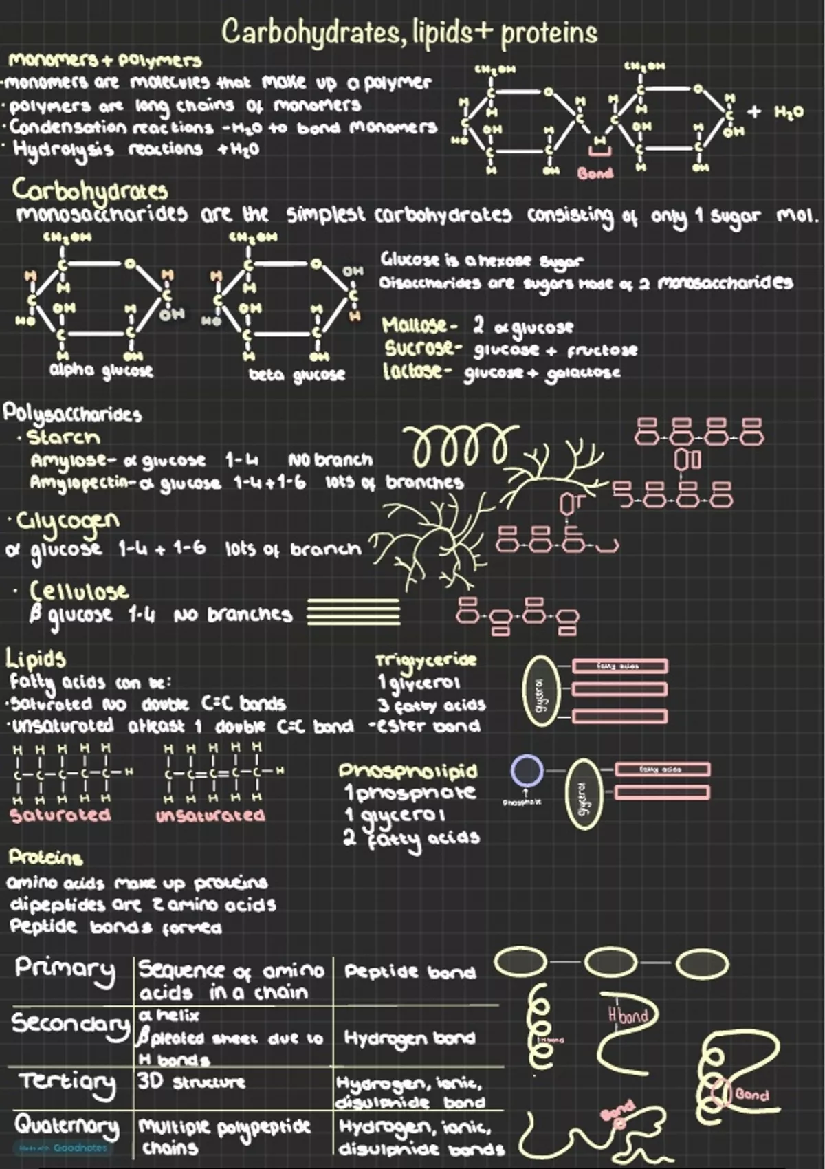 Summary AQA A-Level Biology Biological Molecules Revision Notes - Unit ...