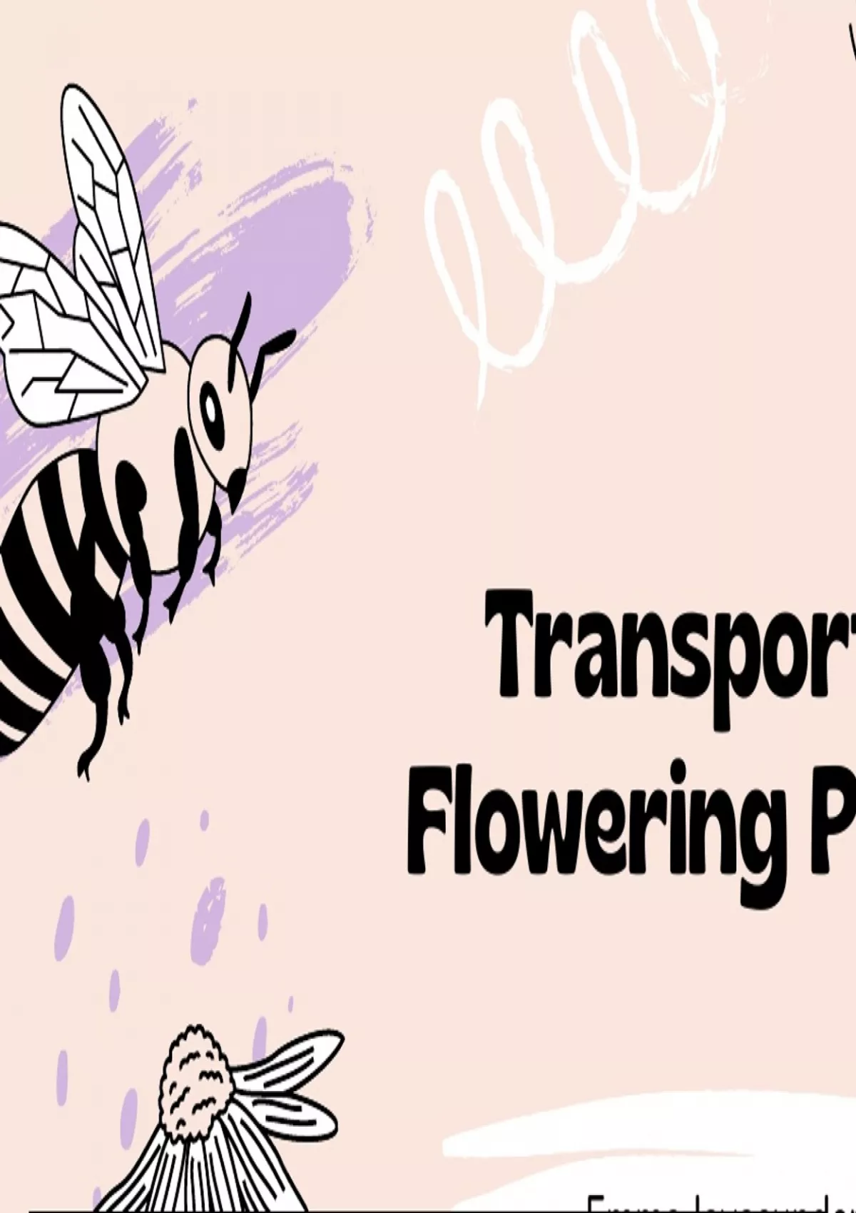 Transport in Flowering plants summary - Biology - Stuvia