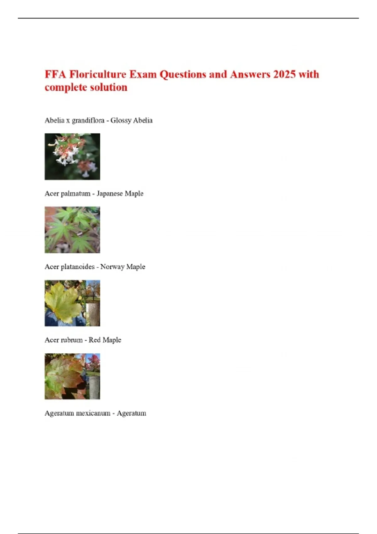 FFA Floriculture Exam Questions and Answers 2025 with complete solution ...