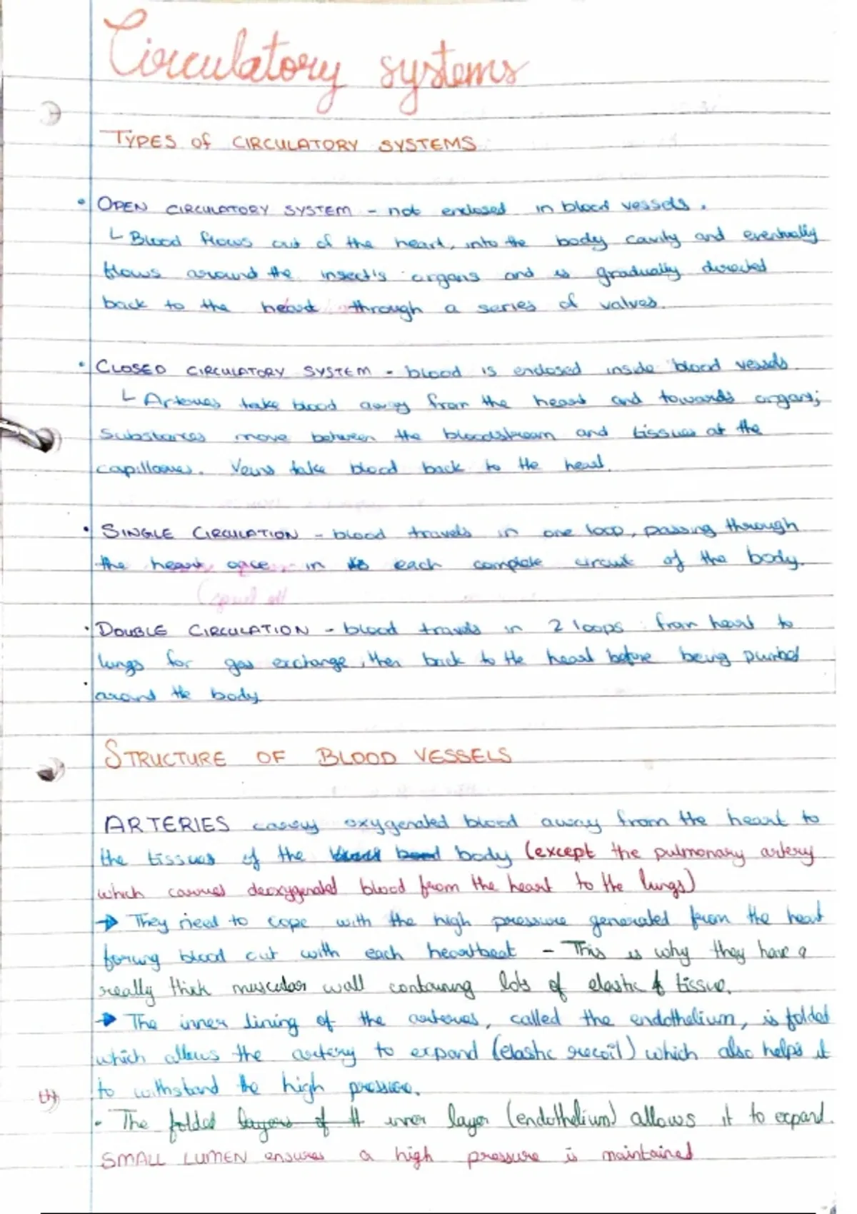 MODULE 3 OCR A LEVEL A Biology Transport in Animals - Paper 1 OCR A ...