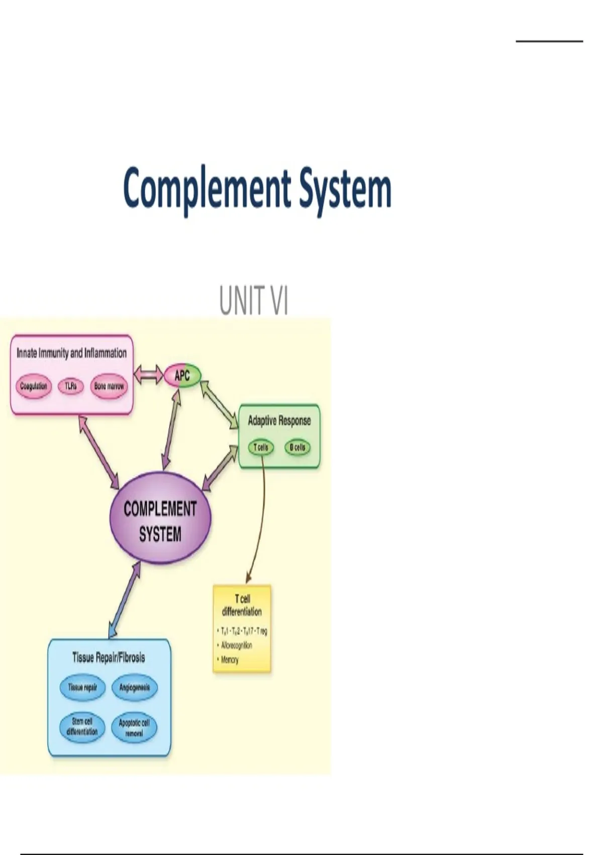 Complement System - Complete Immunology Notes (MSc Life Science ...