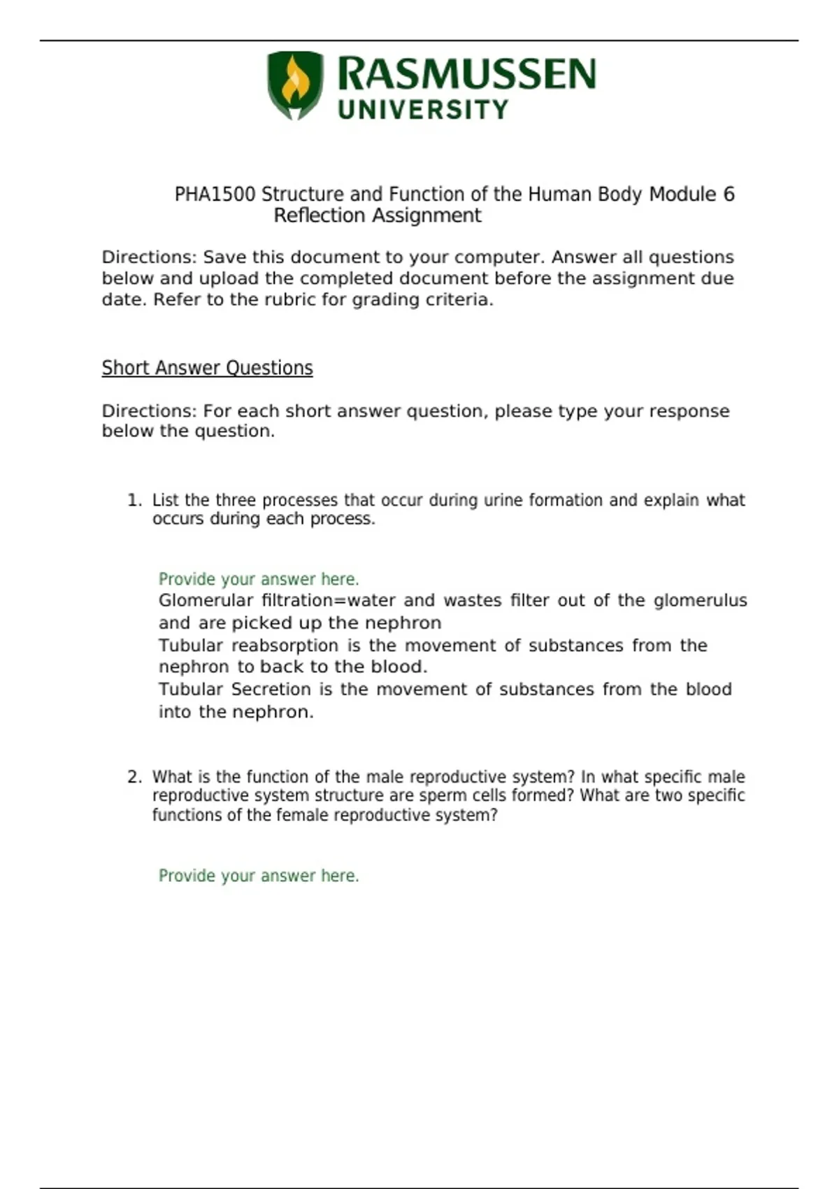 Rasmussen College: PHA1500 Module 6 Reflection Assignment | PHA1500 ...