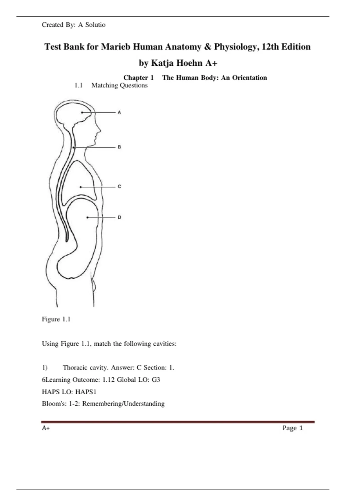 Test Bank - Human Anatomy & Physiology, 12th Global Edition (Marieb ...