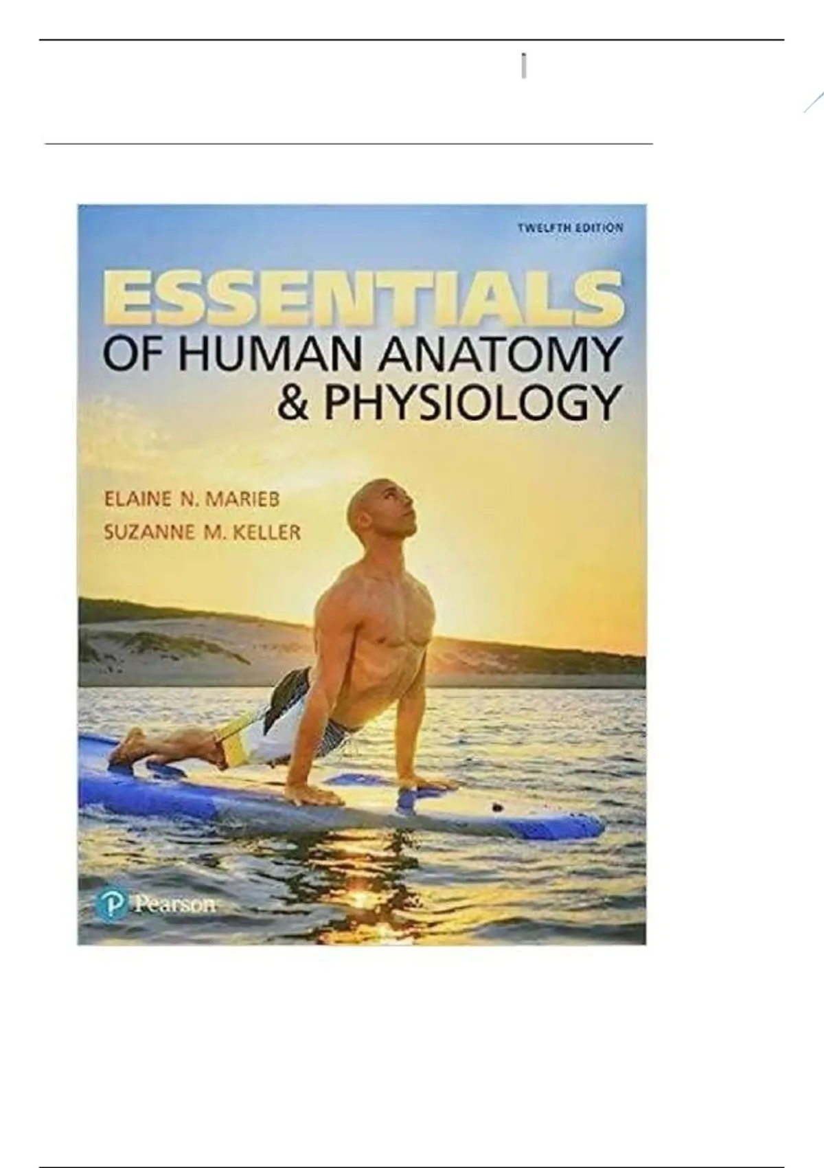 Test Bank For Essentials of Human Anatomy & Physiology 12th Edition By ...
