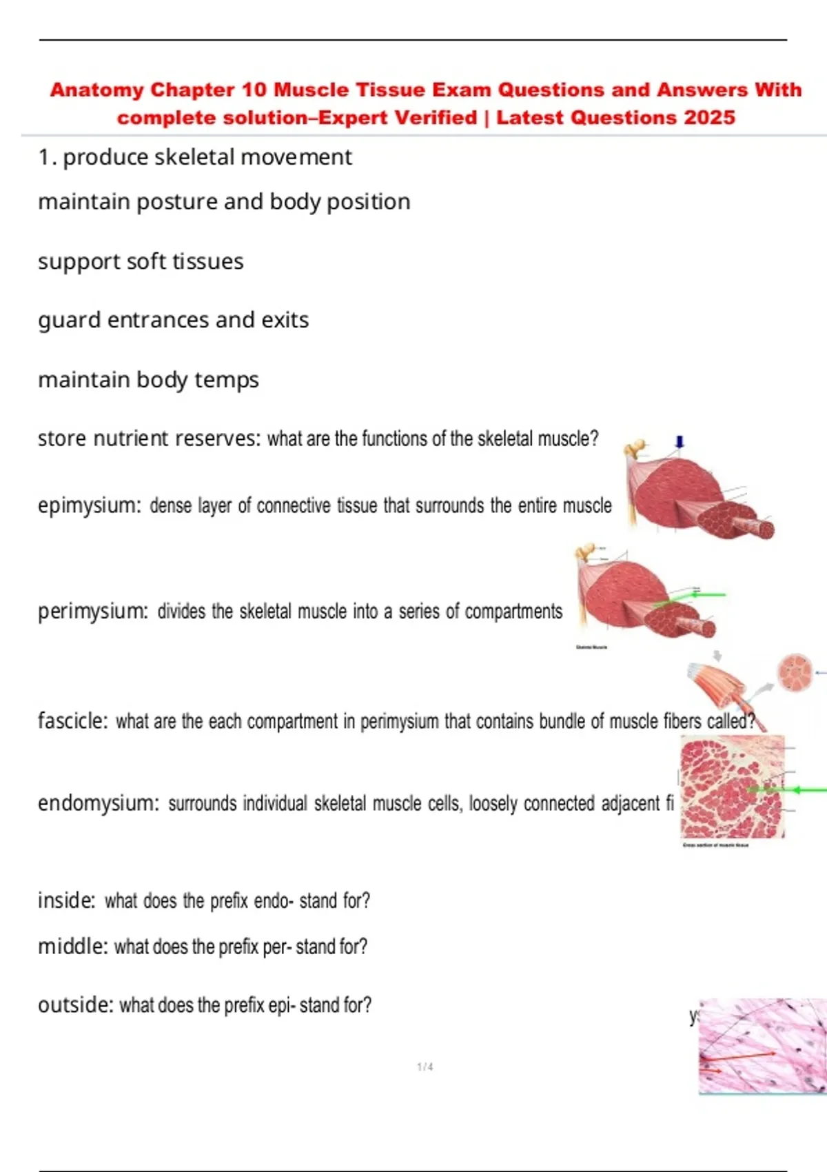 Anatomy Chapter 10 Muscle Tissue Exam Questions and Answers With ...