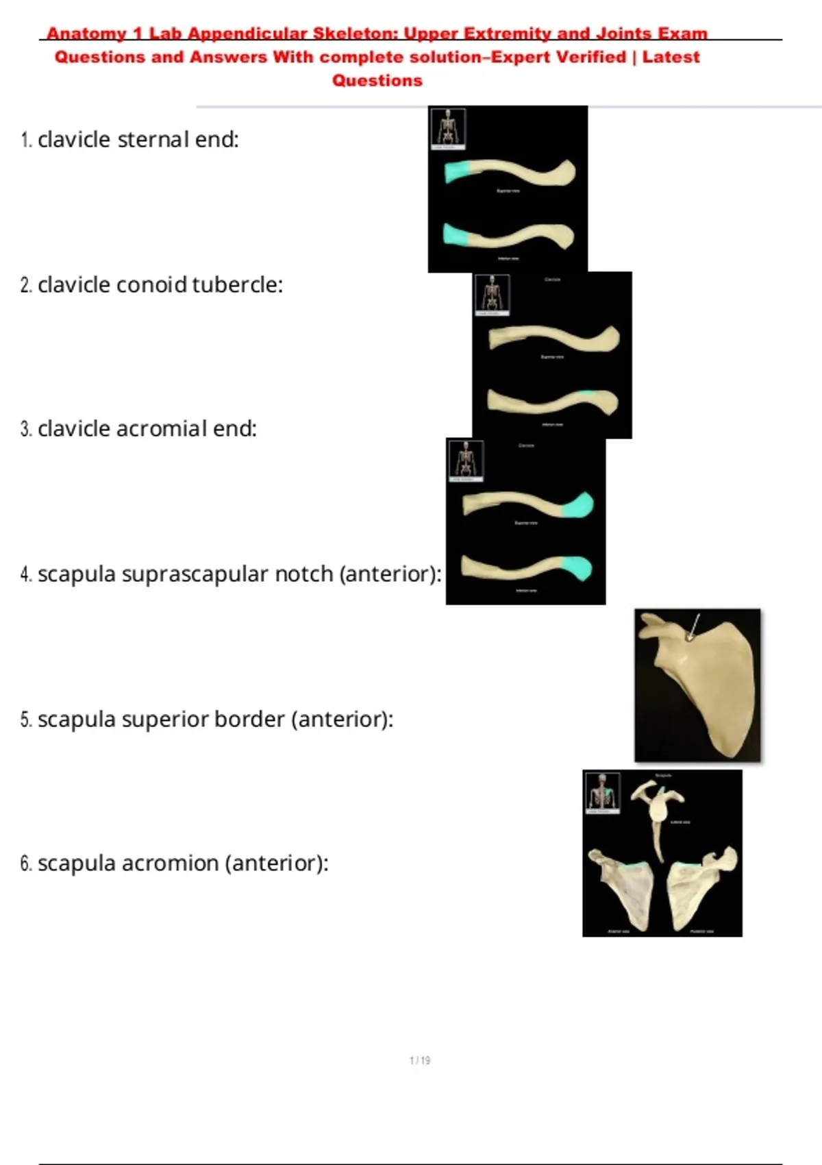 Anatomy 1 Lab Appendicular Skeleton: Upper Extremity and Joints Exam ...