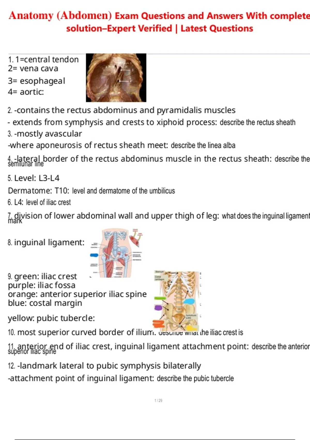 Anatomy (Abdomen) Exam Questions and Answers With complete solution ...