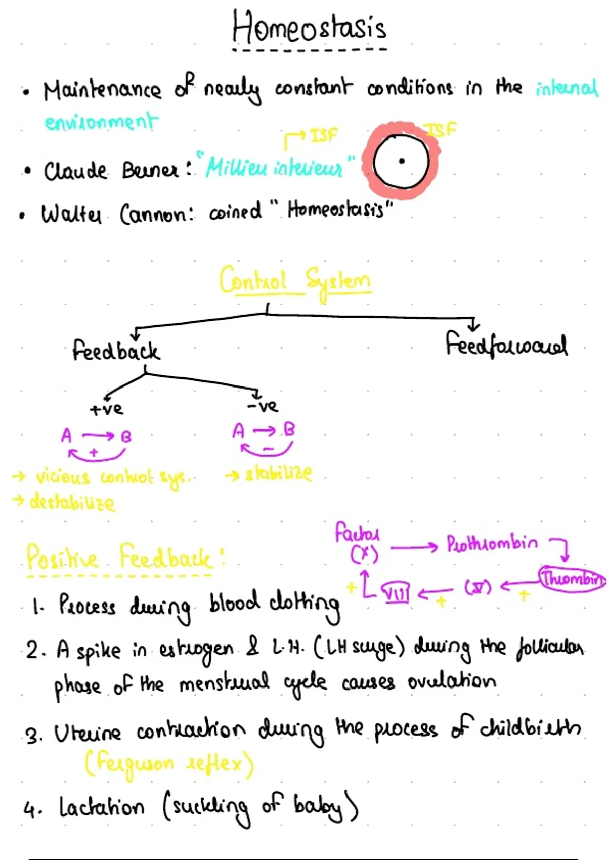 MBBS 1st Year Physiology Notes – Homeostasis Simplified - Bachelor of ...