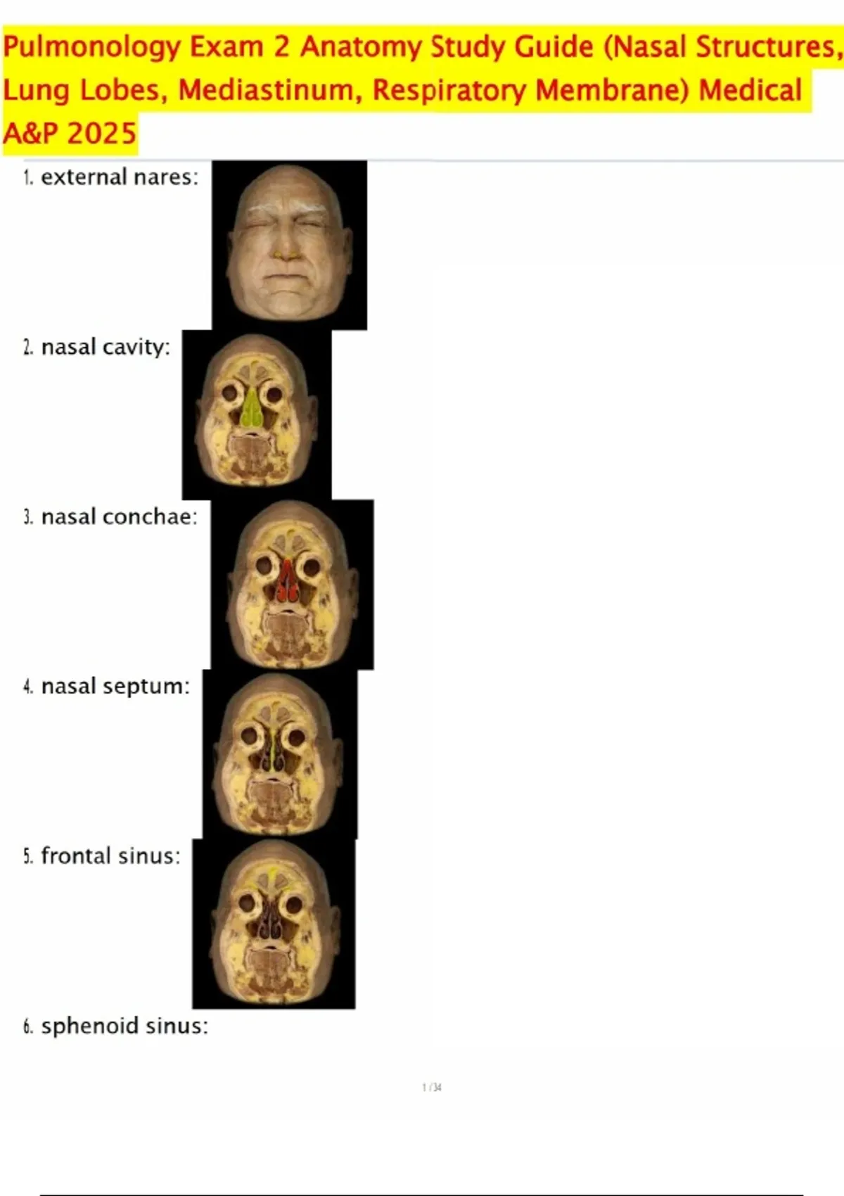 Pulmonology Exam 2 Anatomy Study Guide (Nasal Structures, Lung Lobes ...