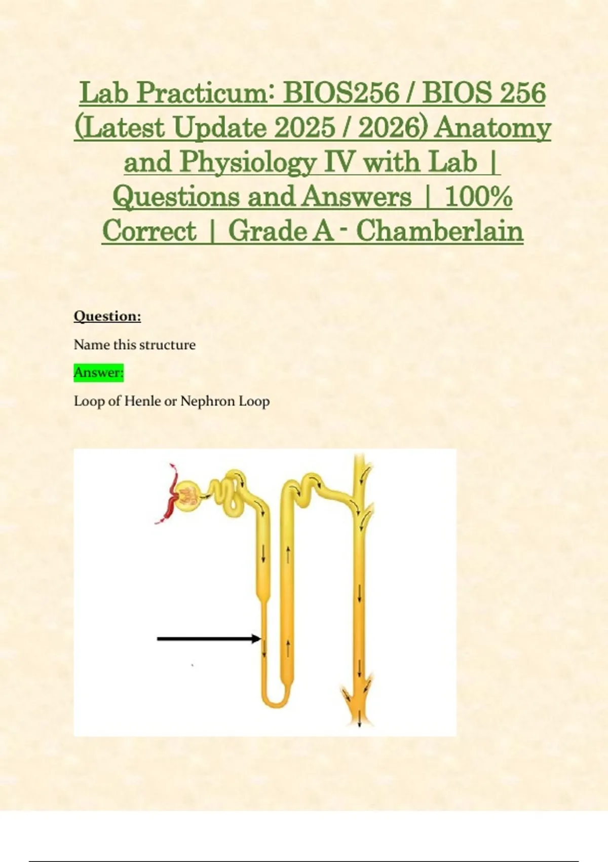 Lab Practicum: BIOS256 / BIOS 256 (Latest Update 2025 / 2026) Anatomy ...