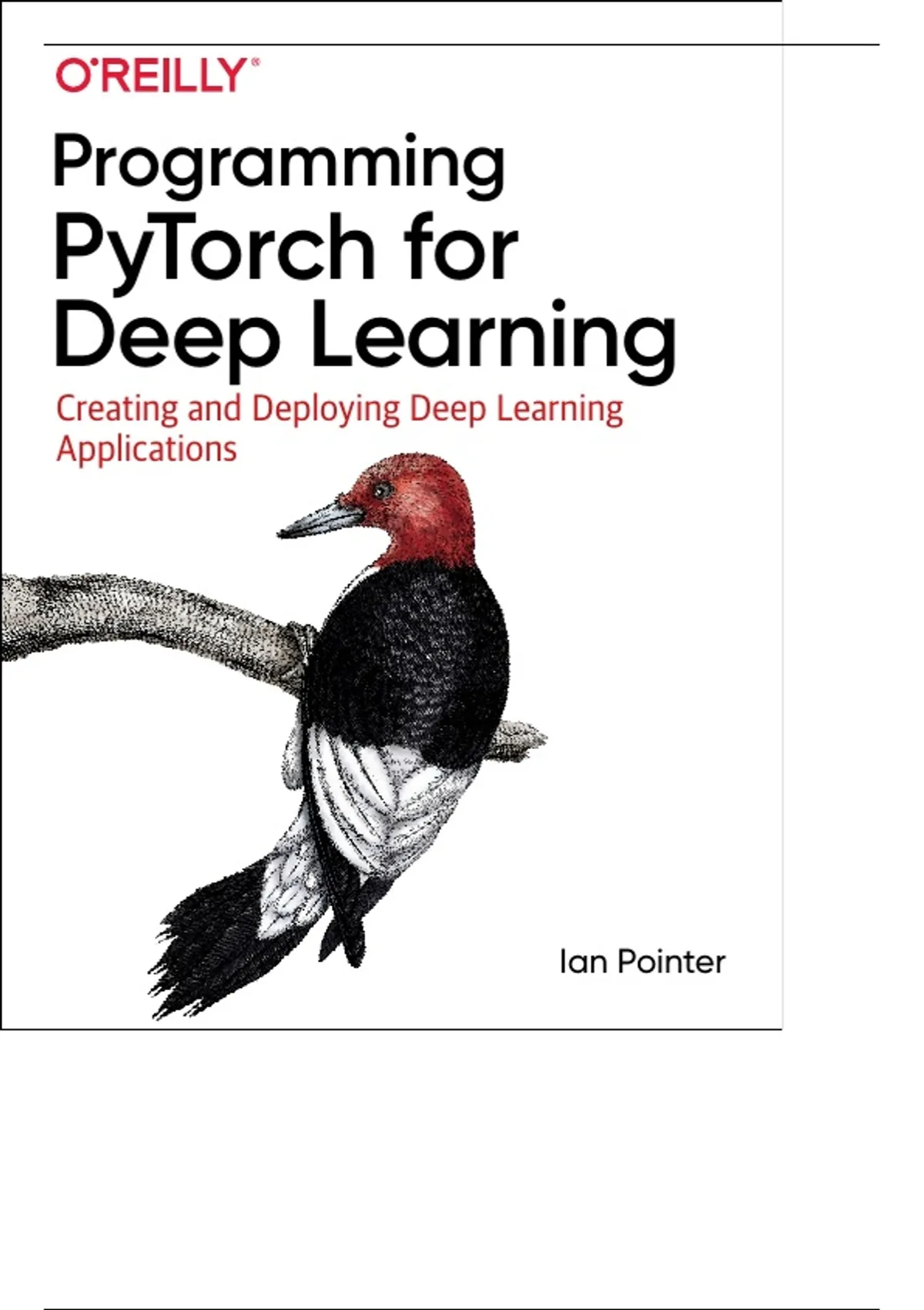 Programming PyTorch for Deep Learning (2020) – Pointer – PDF ...