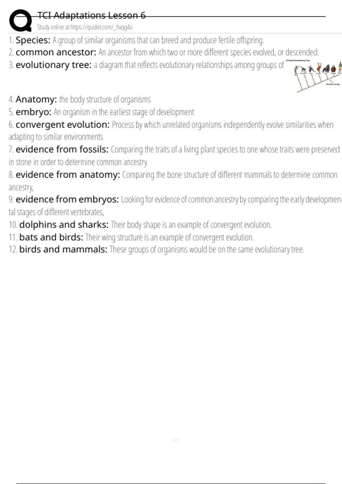 TCI Adaptations Lesson 6 Exam Questions and Answers 100% Pass ...