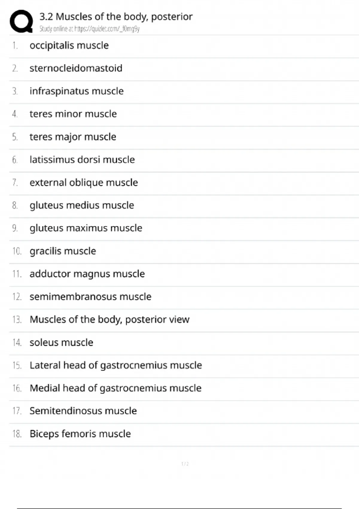 Muscles of the Body Posterior / Anatomy Certification / 2026 Update ...