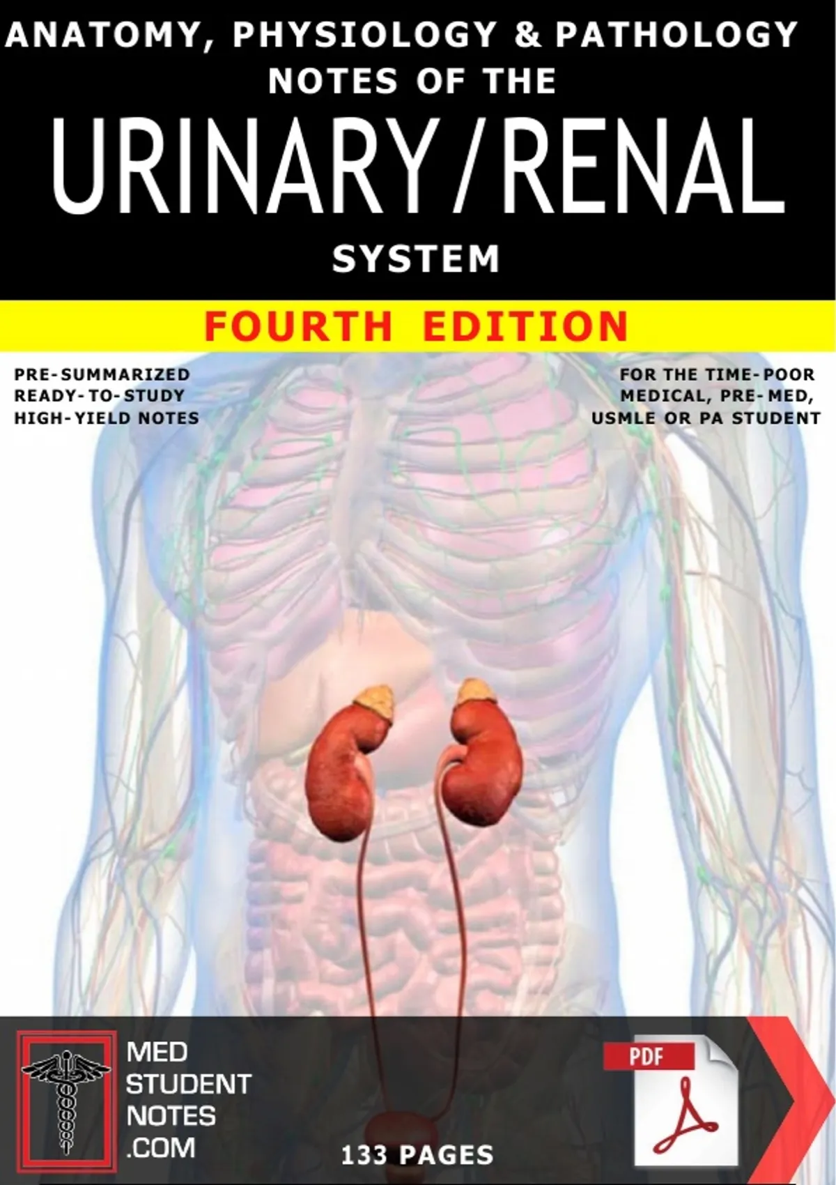 Summary ANATOMY, PHYSIOLOGY & PATHOLOGY NOTES OF THE URINARY/RENAL ...