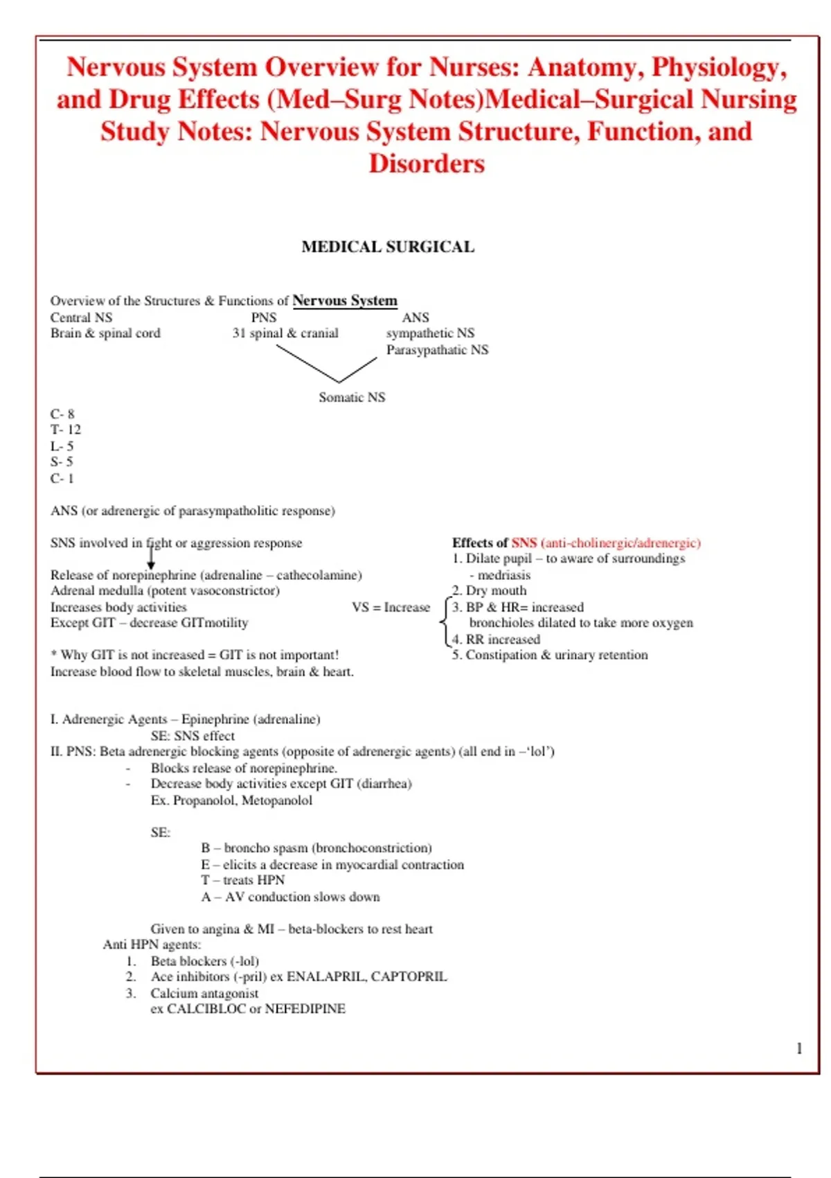 Nervous System Overview for Nurses: Anatomy, Physiology, and Drug ...