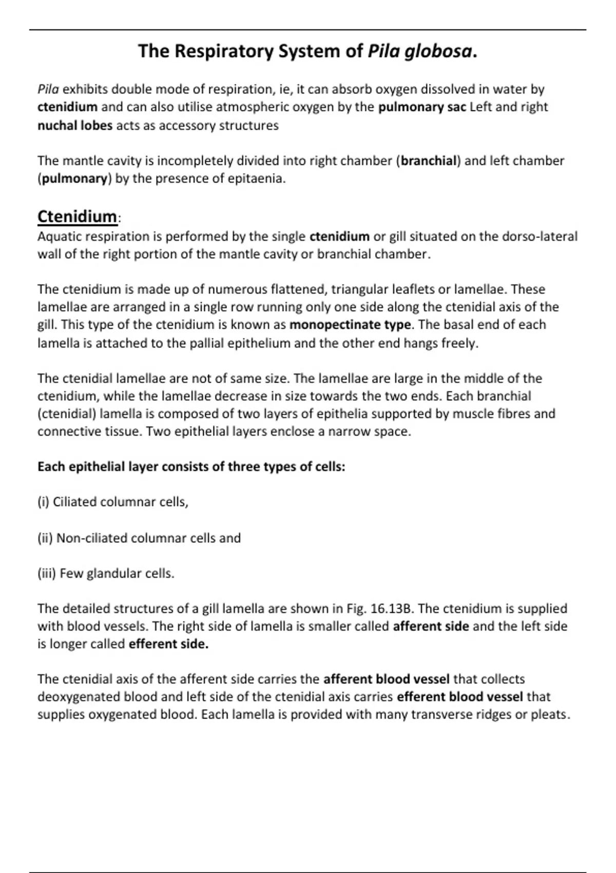 Summary "Respiratory System and Mechanism of Pila globosa – A Detailed ...
