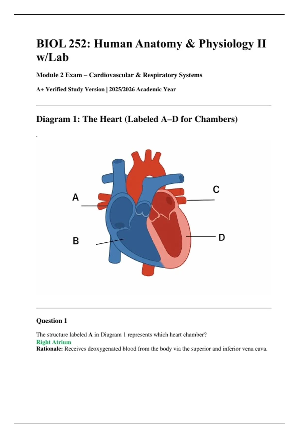 BIOL 252: Human Anatomy & Physiology II w/Lab Module 2 Exam ...