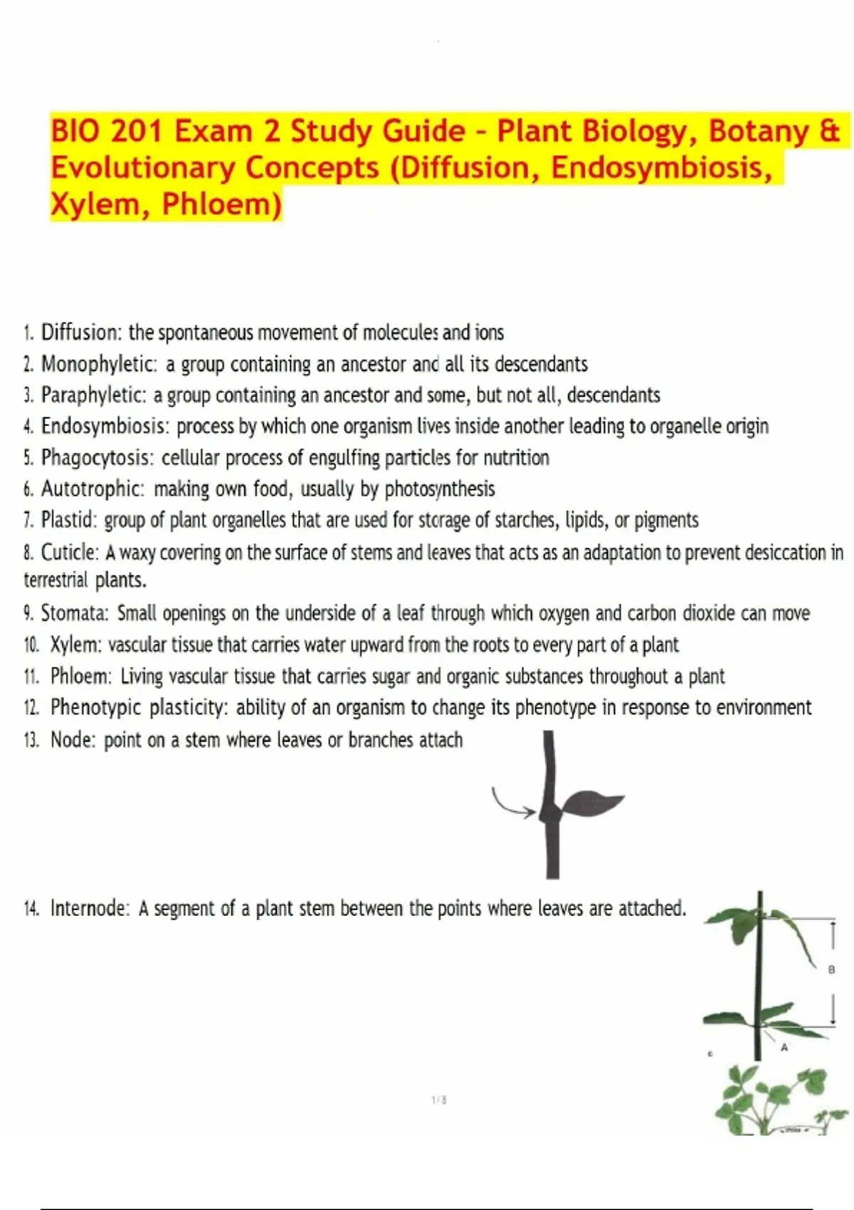 BIO 201 Exam 2 Study Guide – Plant Biology, Botany & Evolutionary Concepts (Diffusion ...