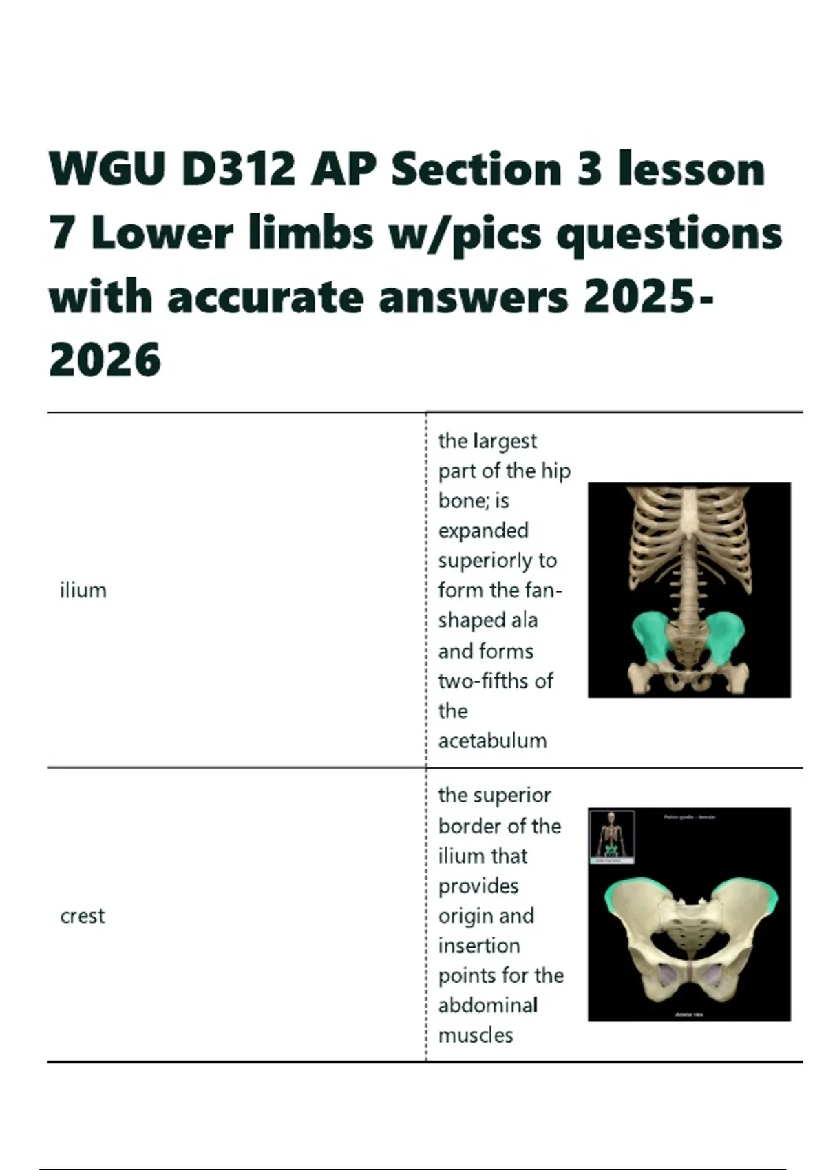 WGU D312 AP Section 3 lesson 7 Lower limbs w pics questions with accurate answers . - Wgu ...