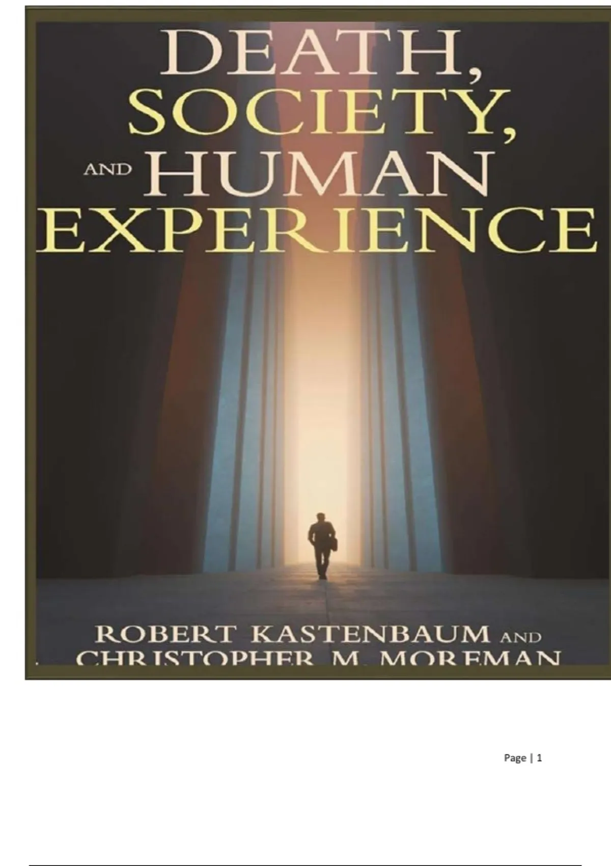 TEST BANK FOR Death, Society, and Human Experience 13th Edition by ...