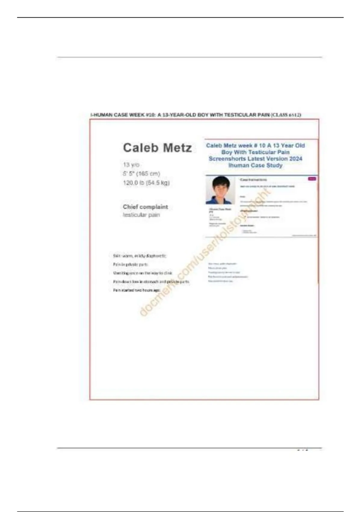 iHuman Case Study: Caleb Metz - 13-Year-Old with Testicular Pain | Week ...