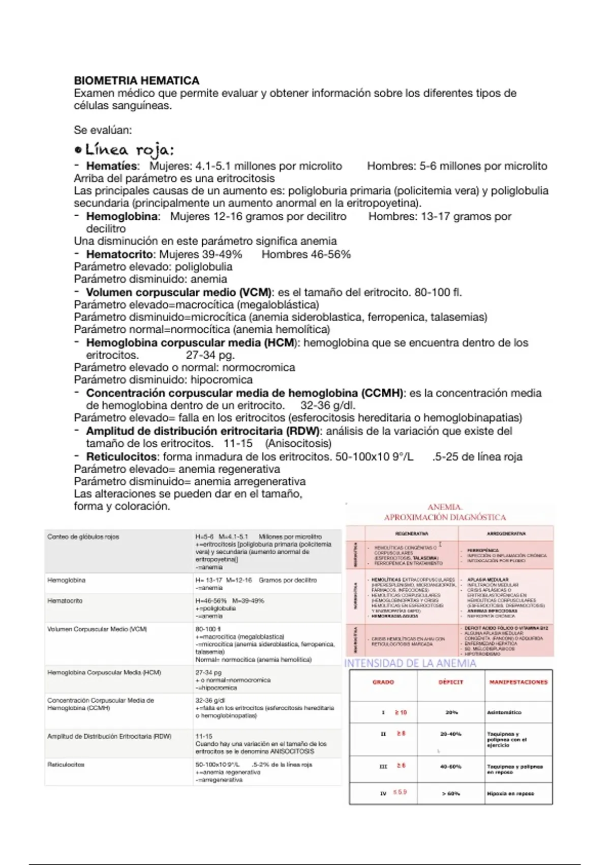 Biometría Hemática – Guía Completa con Valores Normales, Interpretación ...