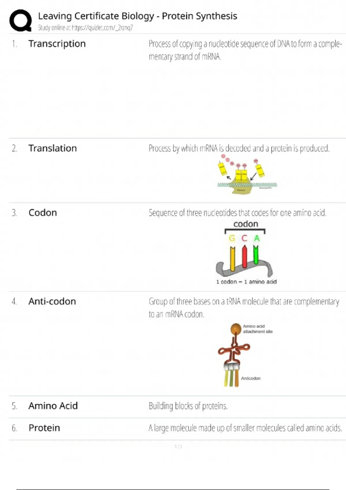 Leaving Certificate Biology - Protein Synthesis / Exam Guide & Test ...