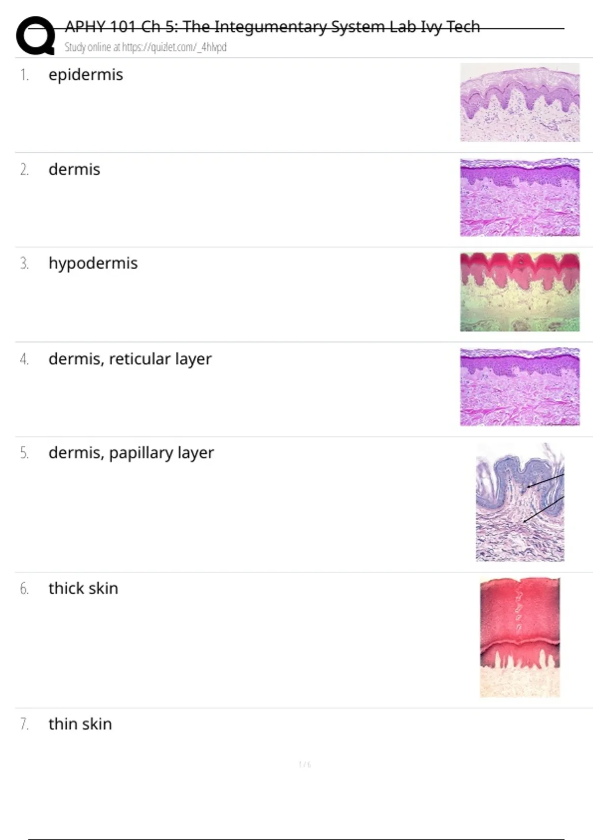 APHY 101 Ch 5: The Integumentary System Lab Ivy Tech Questions and ...