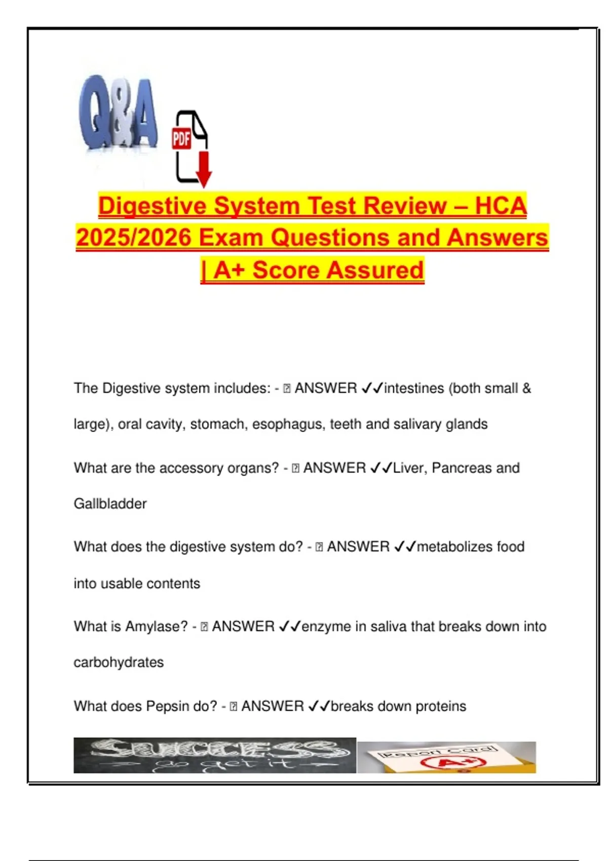 Digestive System – Test Review 2025/2026 – 30 Exam Q&As – GI Tract ...