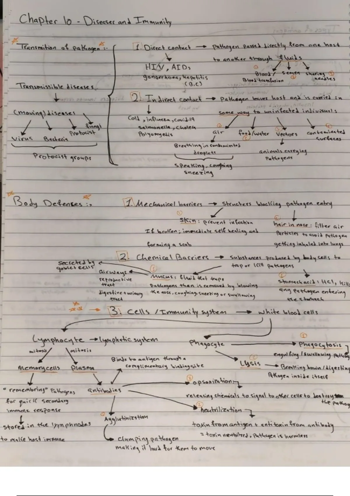 Summary IGCSE Biology chapter 10 diseases and immunity - IGCSE BIOLOGY ...
