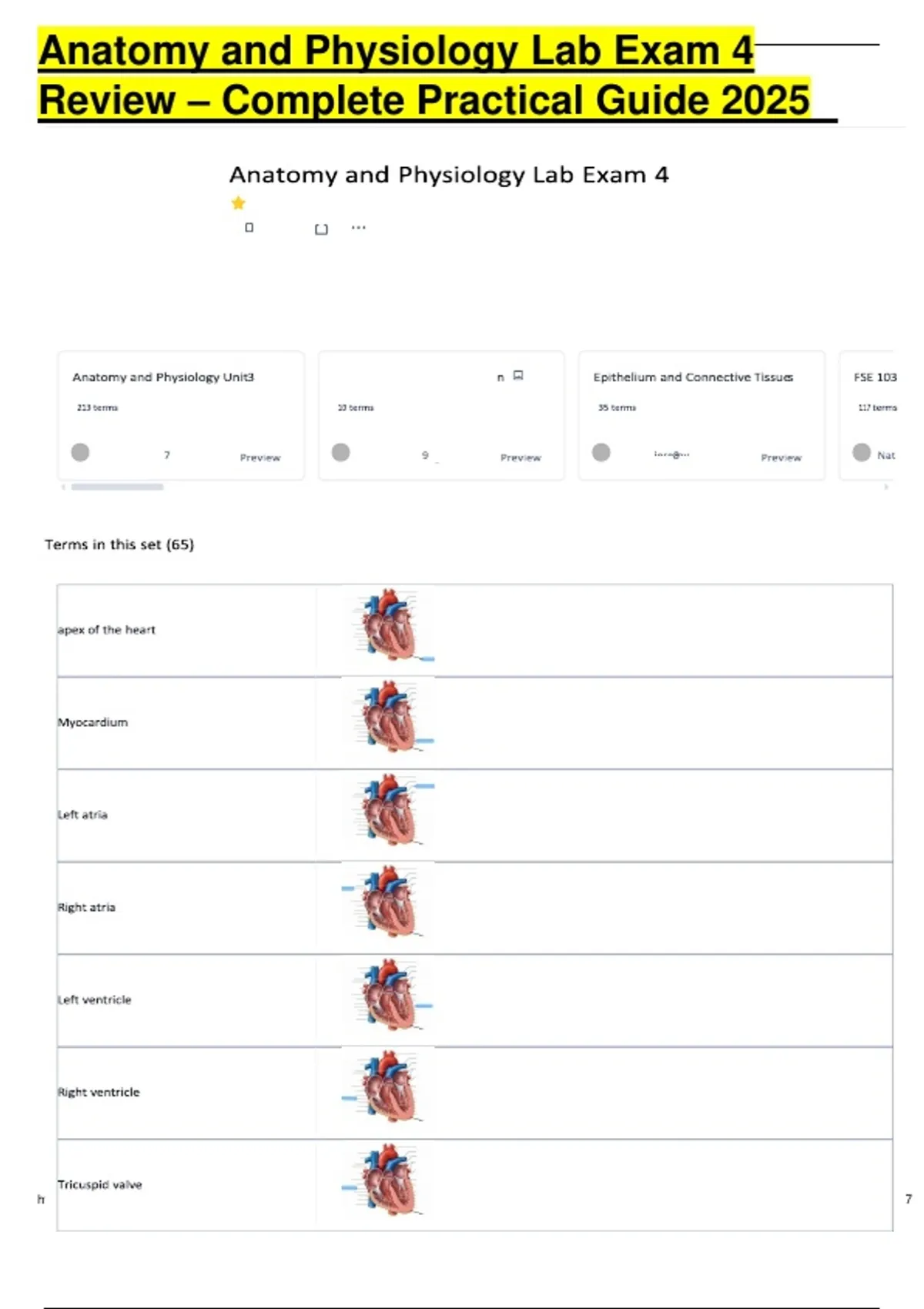 Anatomy and Physiology Unit 6 Test Review – Complete Study Guide 2025 ...