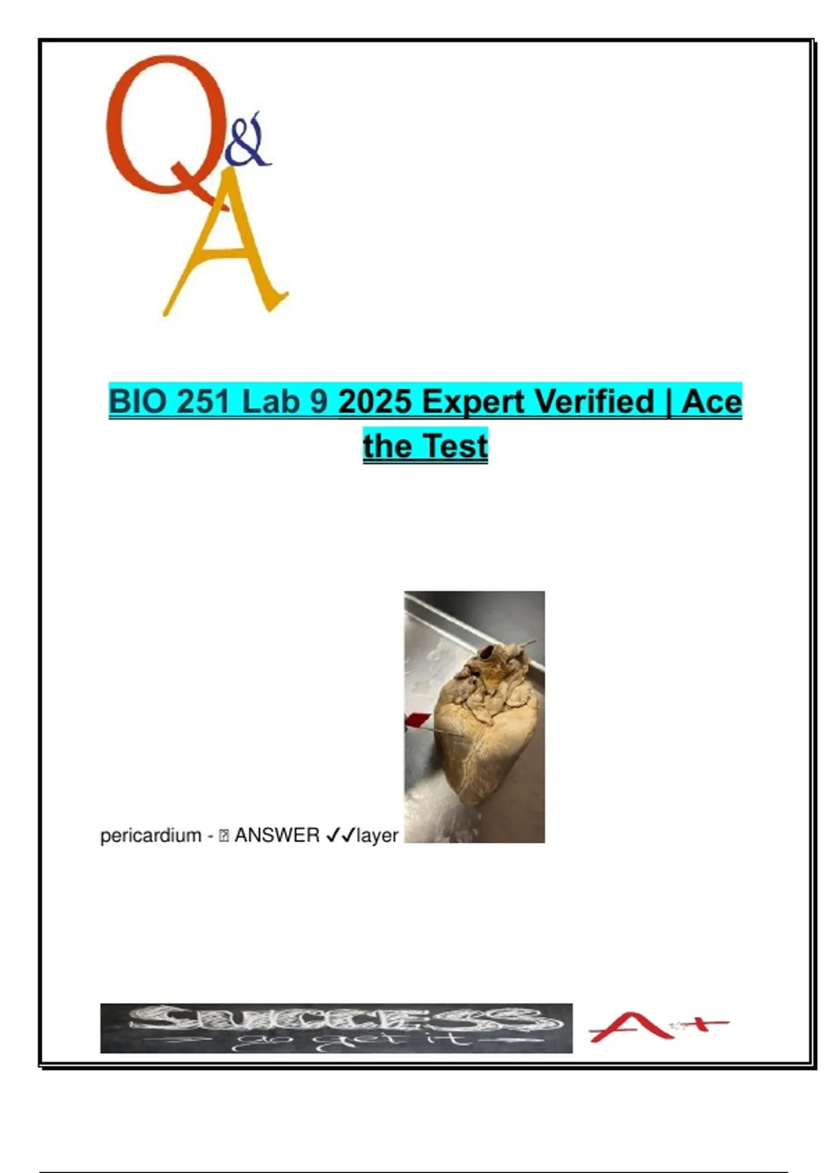 BIO 251 Lab 9 – Heart Structures, Blood Flow & Vessels – 2025 Q&A (BIO251) - BIO 251 - Stuvia US