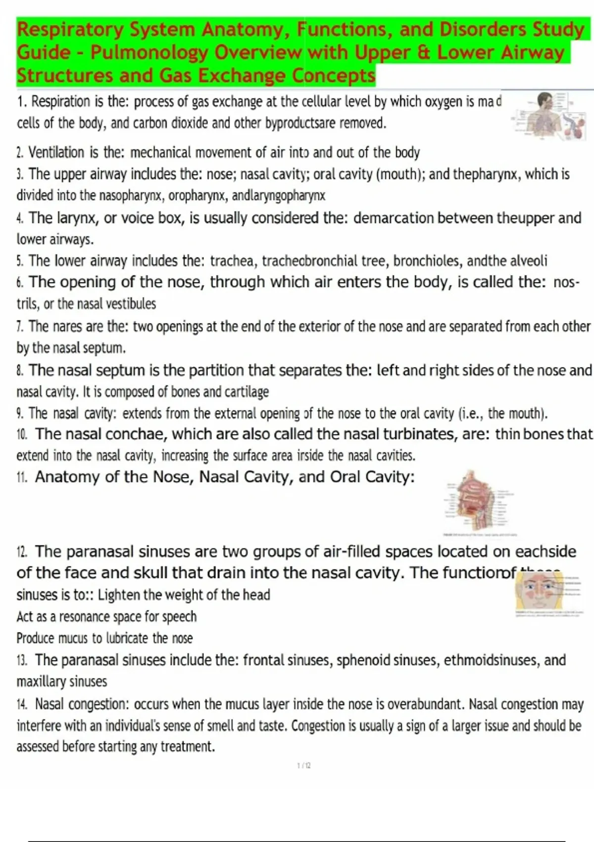 Respiratory System Anatomy, Functions, and Disorders Study Guide ...