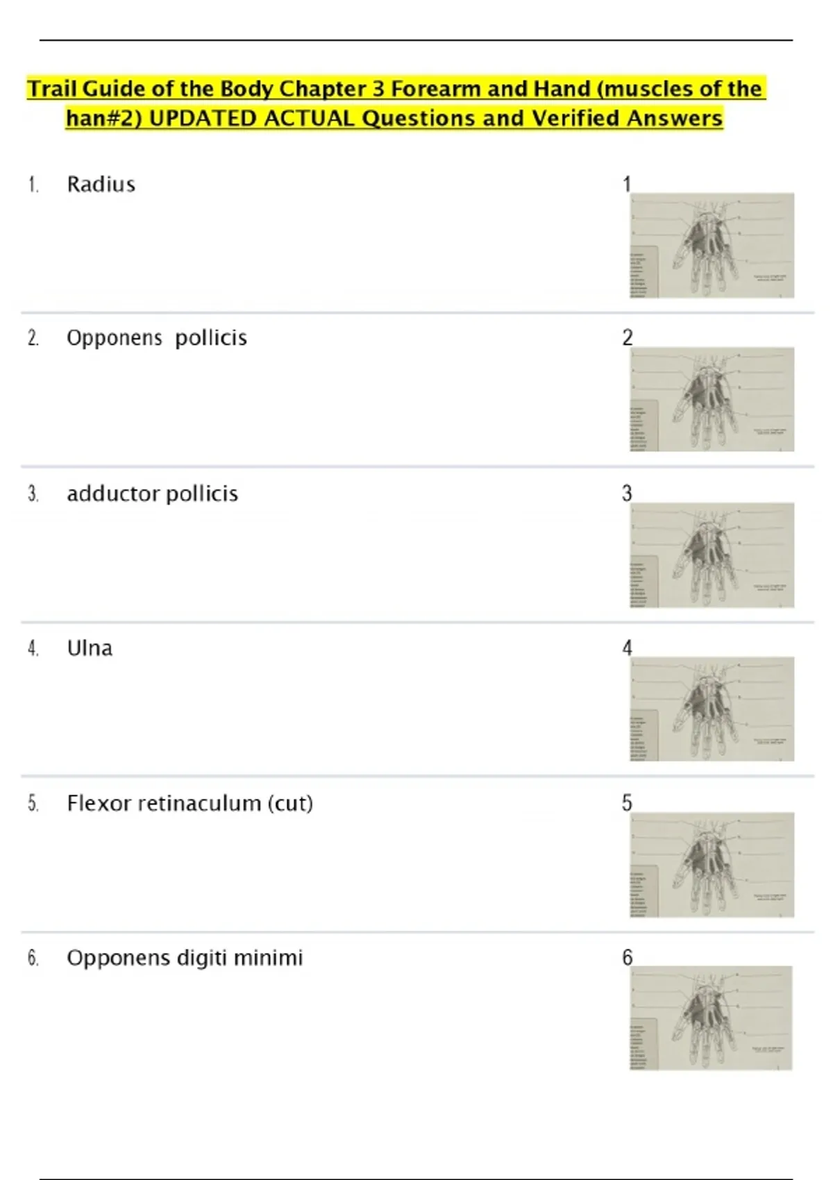 Trail Guide of the Body Chapter 3 Forearm and Hand (muscles of the han ...